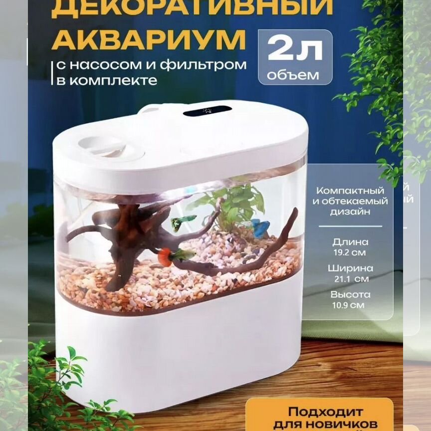 Аквариум