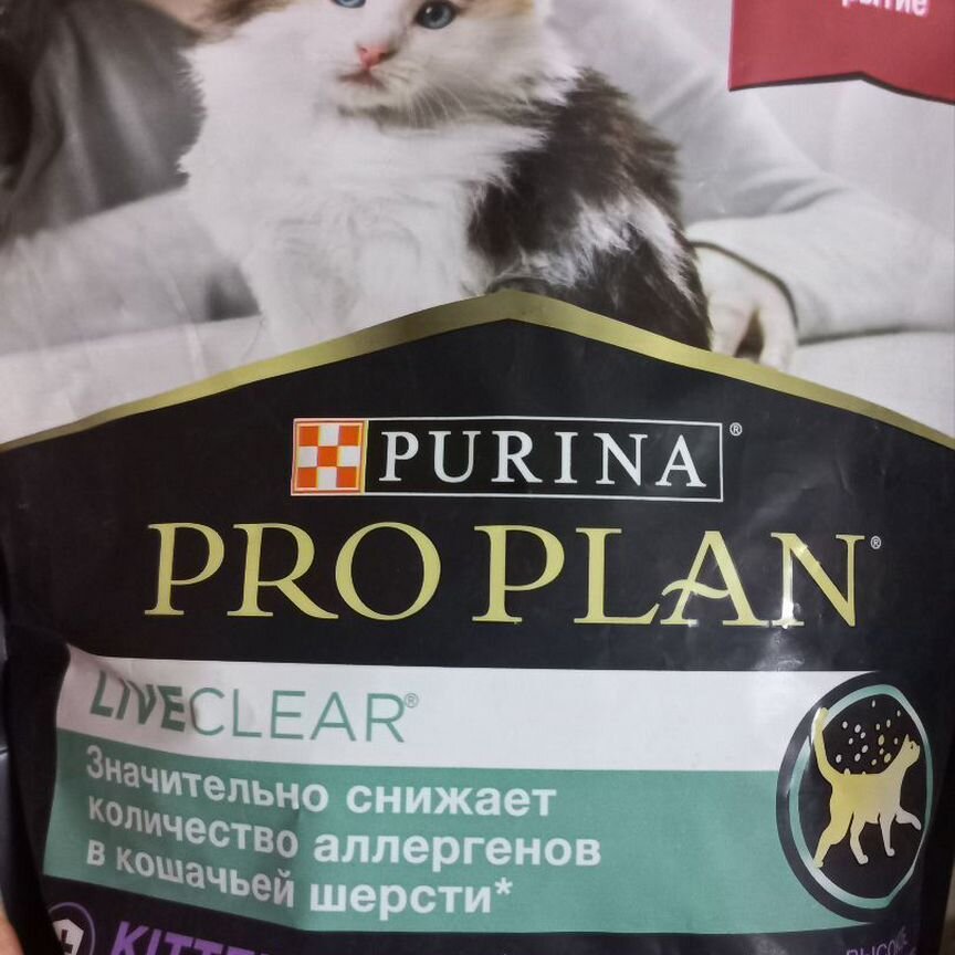 Pro plan live для котят