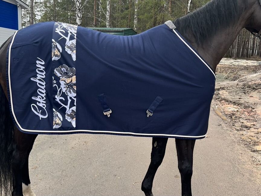 Попона для лошади 135