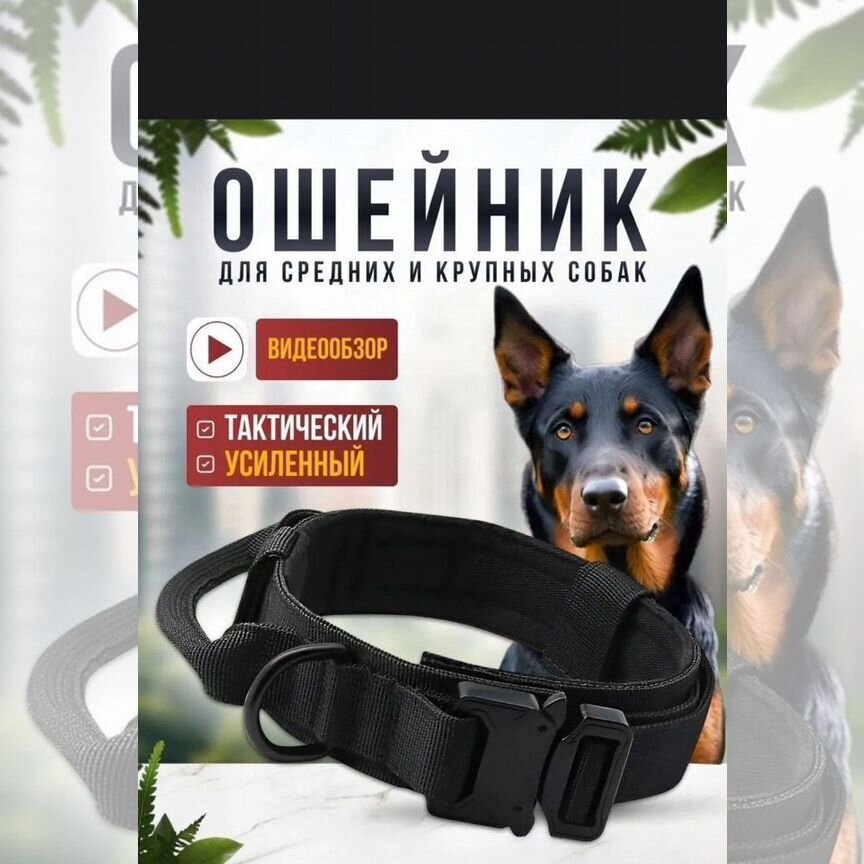 Ошейник для собак