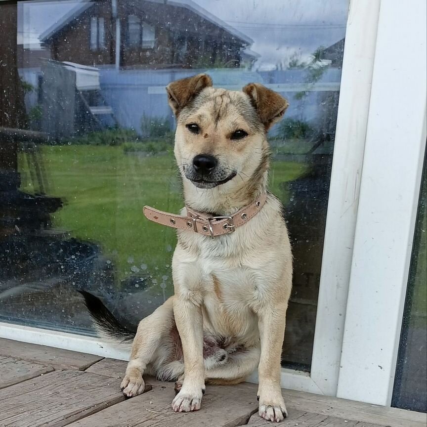 Спасите мелкого из заточения