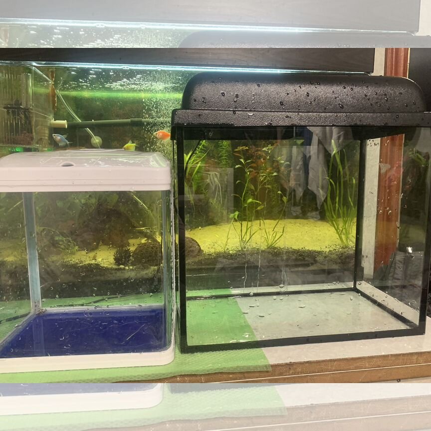 Аквариум 20 литров