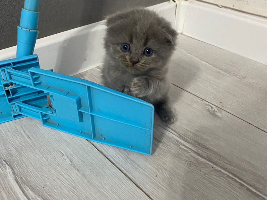 Девочка Мотя(Матильда)