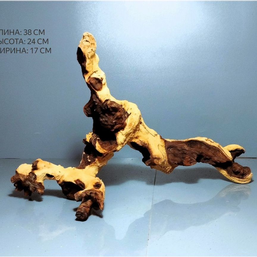 Мопани-натуральная коряга 38*17*24 вк301
