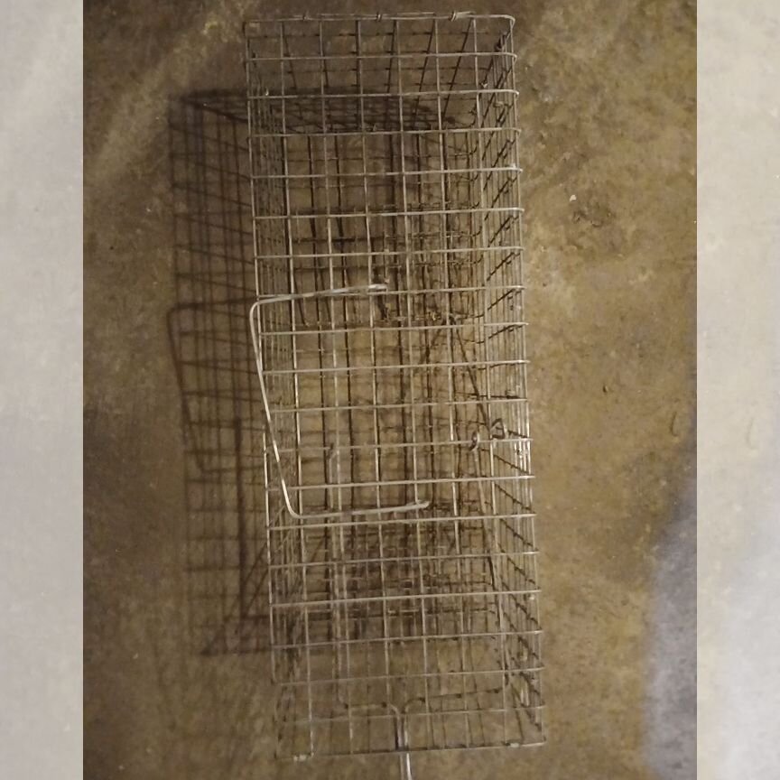 Крысоловка металлическая