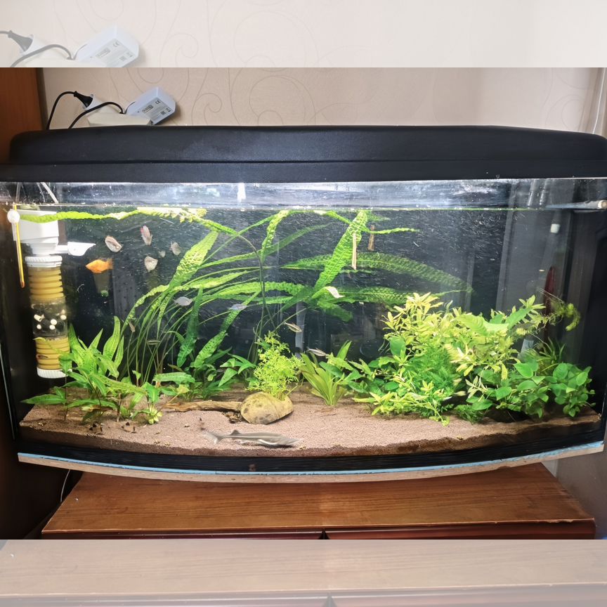 Панорамный Аквариум 250 л