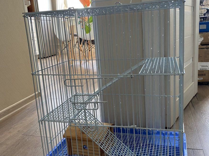 Клетка