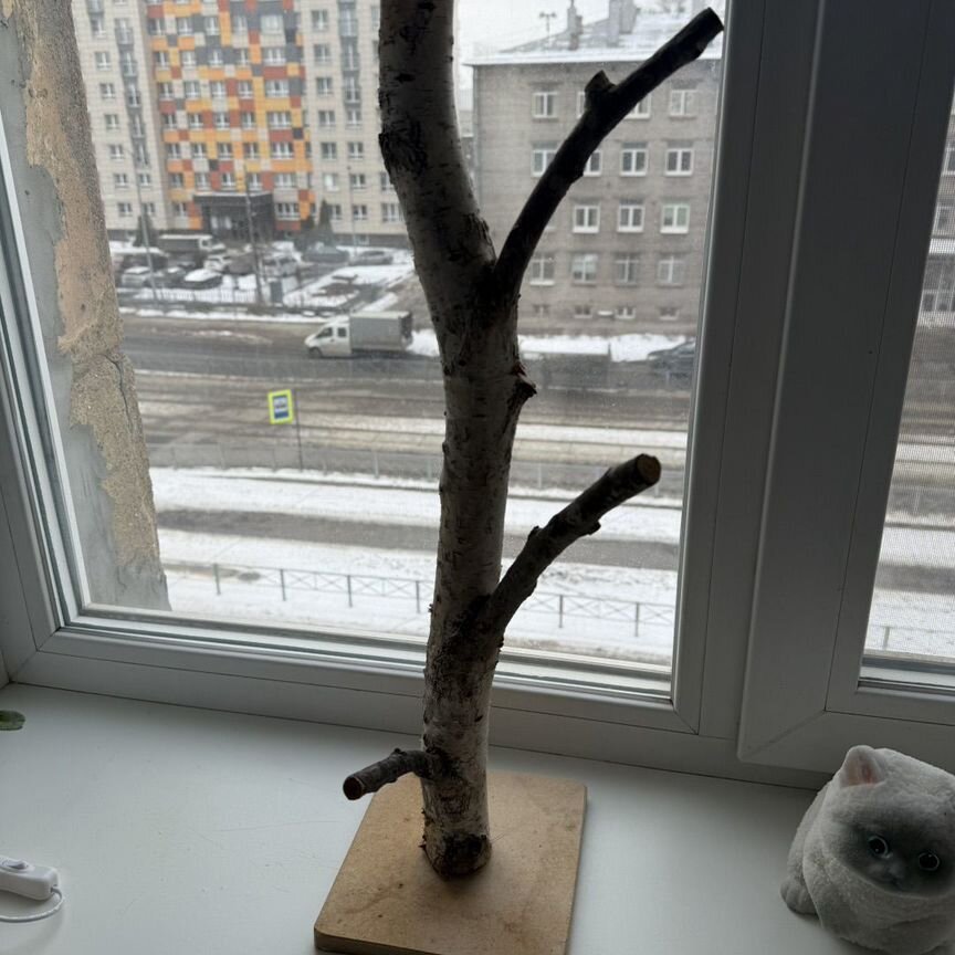 Стенд для попугая