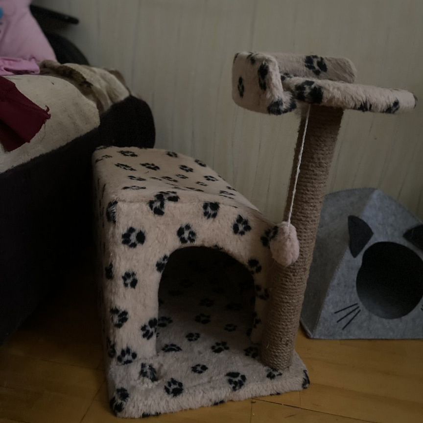 Когтеточка