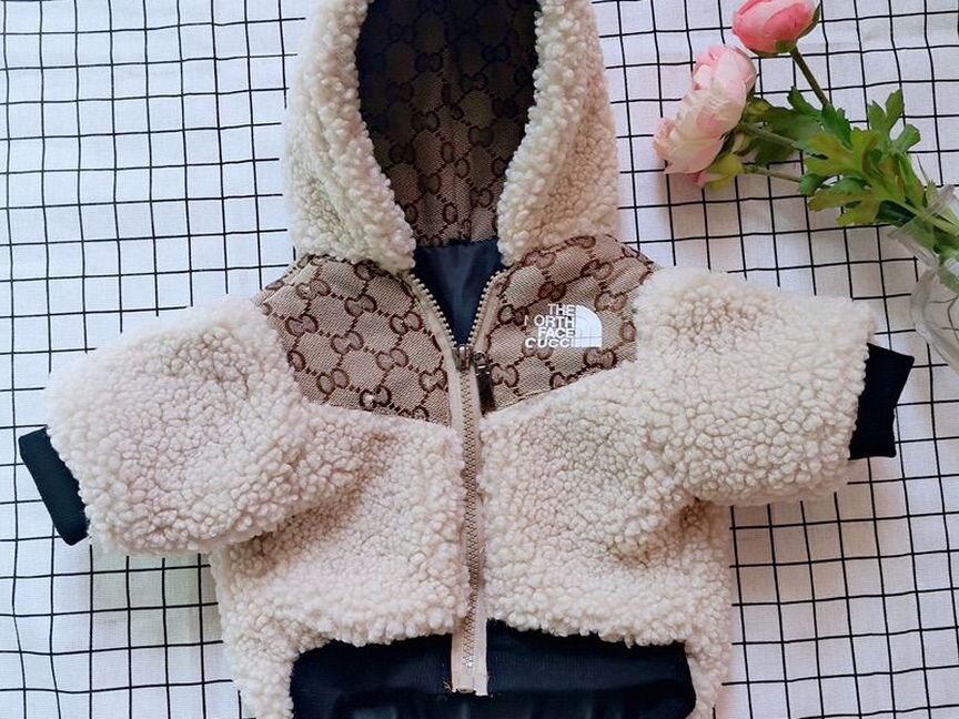 Костюм для маленьких собак