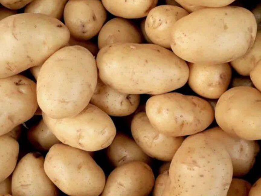 Картофель мелкий