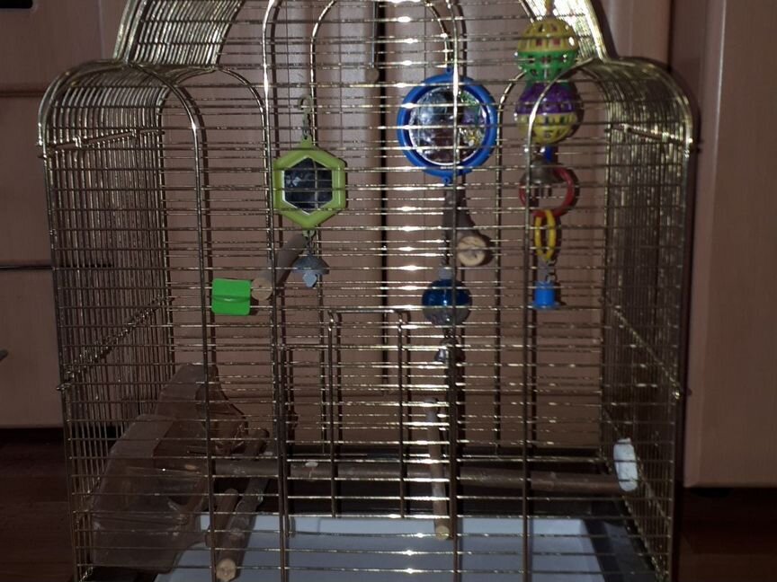 Золотая клетка для попугаев