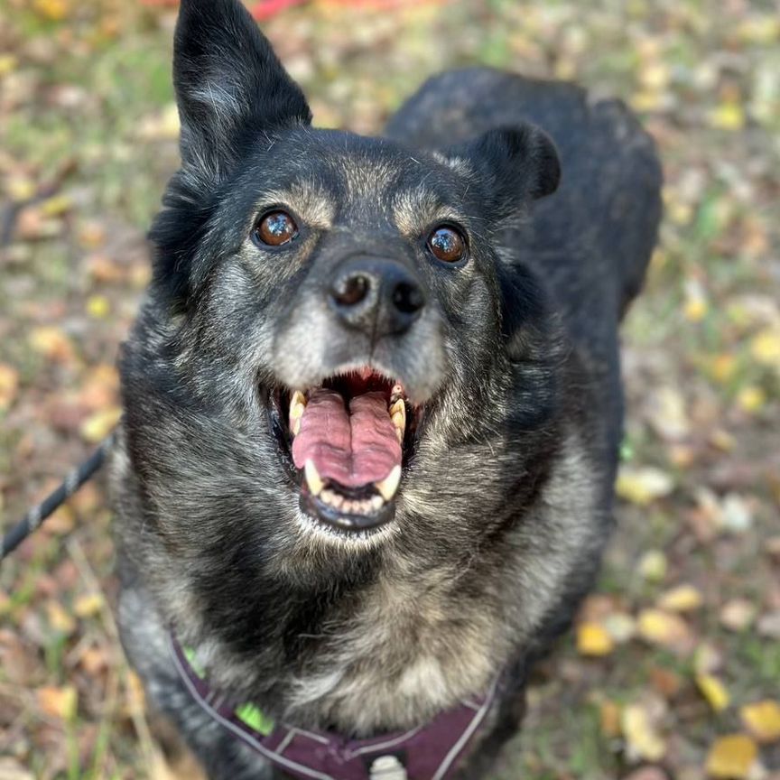 Старушка всю жизнь провела в приюте
