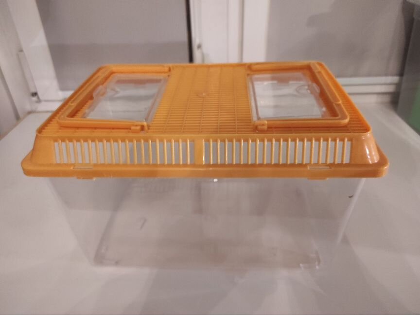 Террариум для улиток