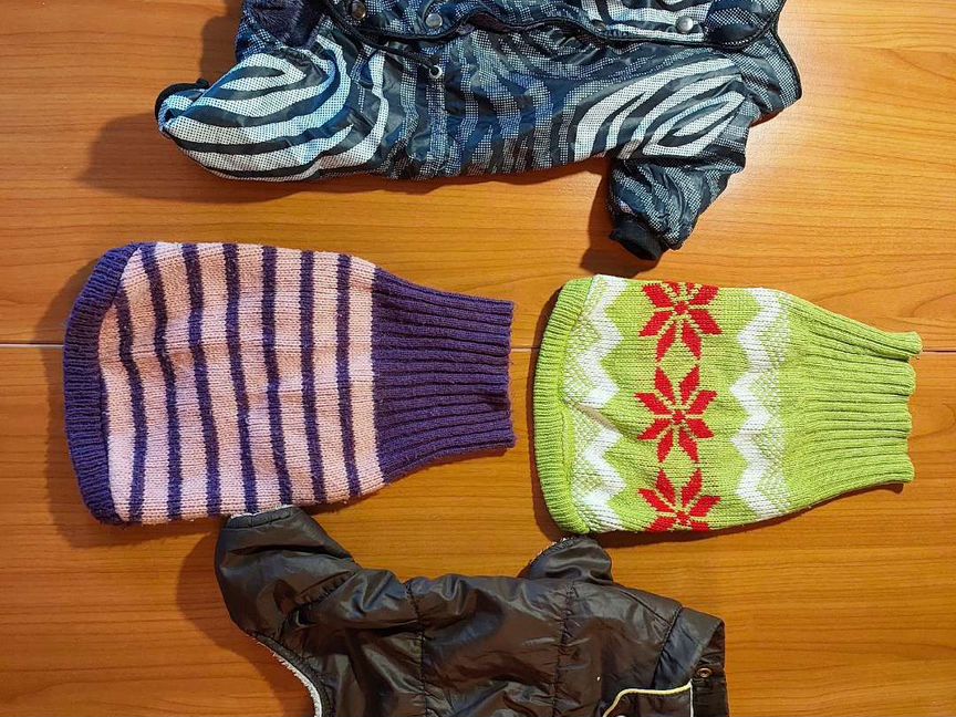 Комбинезон для собаки