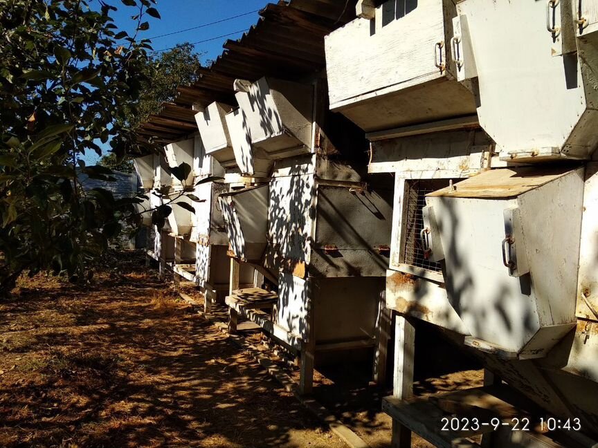 Клетки двухэтажные для кроликов