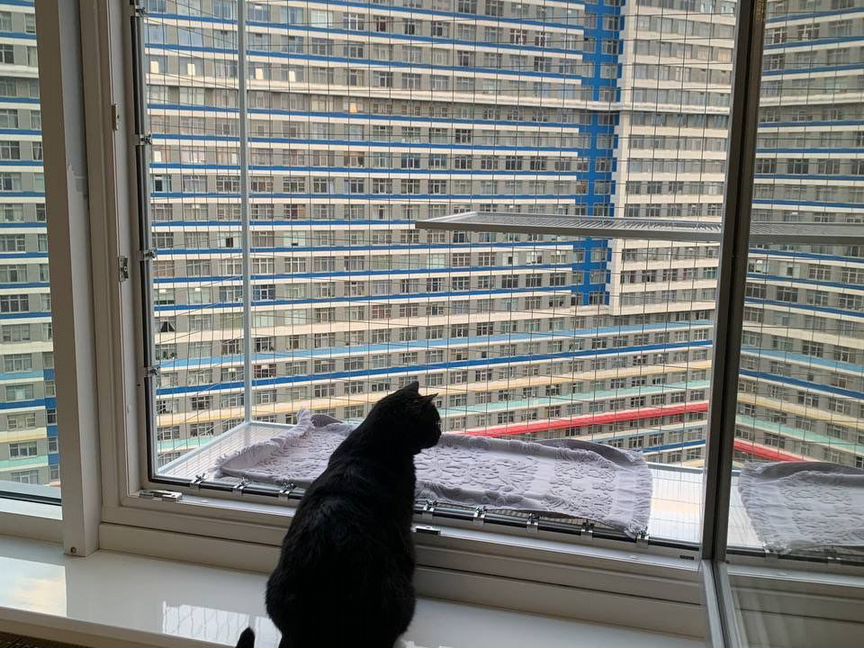 Балкон для кота, котобалкончик