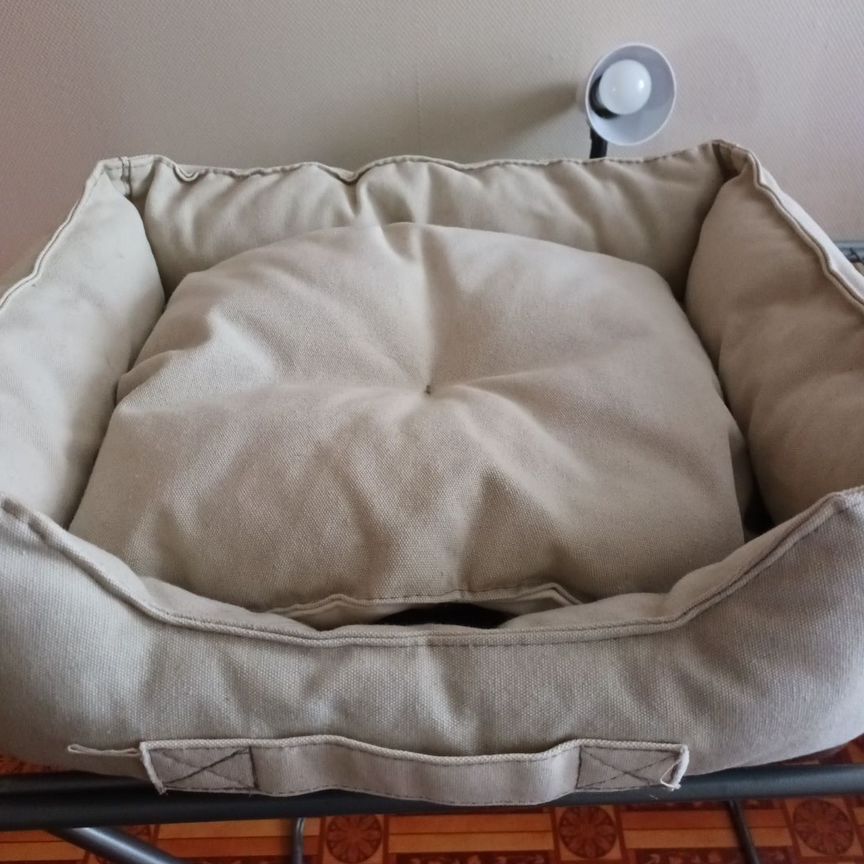 Лежанка для кошек