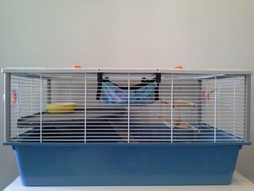 Клетки большие