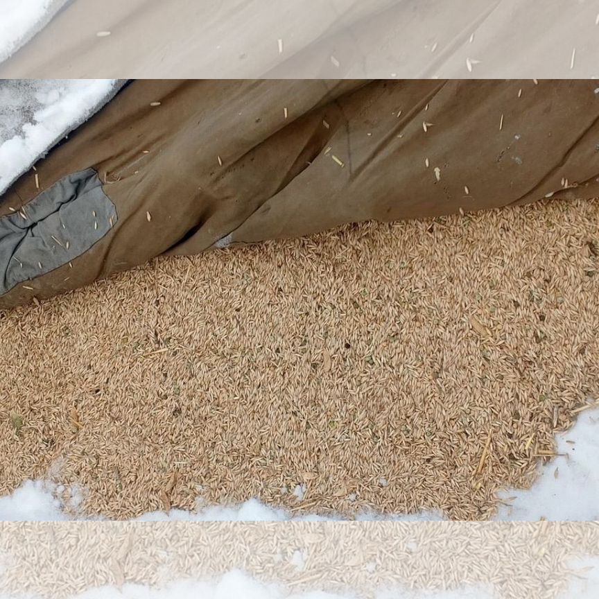 Зерносмесь