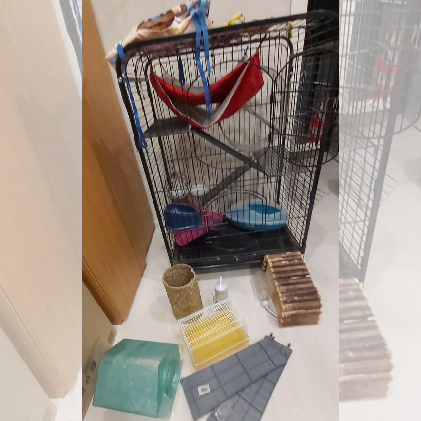 Аксессуары для грызунов б/у от 50 до 300