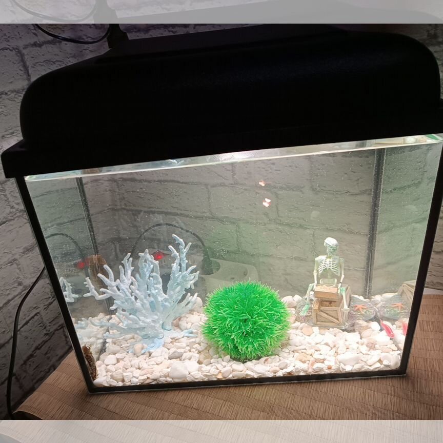 Корм,Аквариум Рыбки