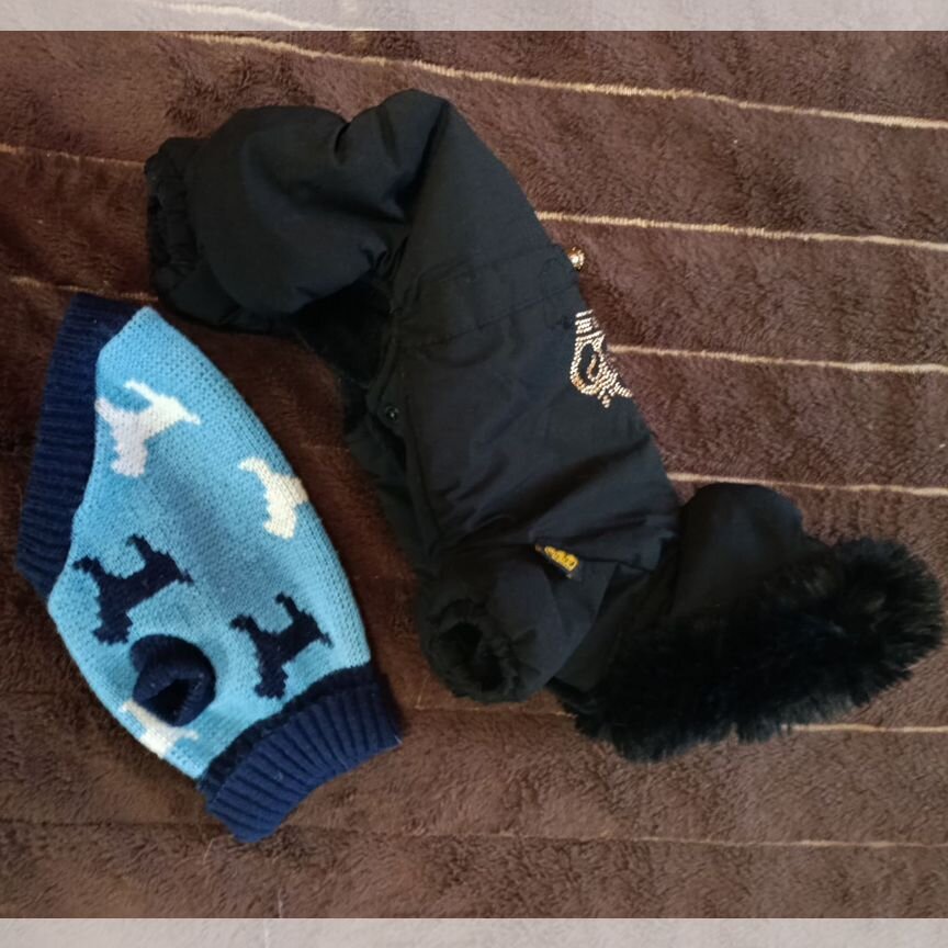 Одежда для собак мелких пород бу