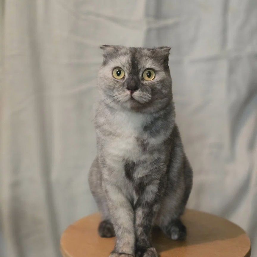 В добрые руки