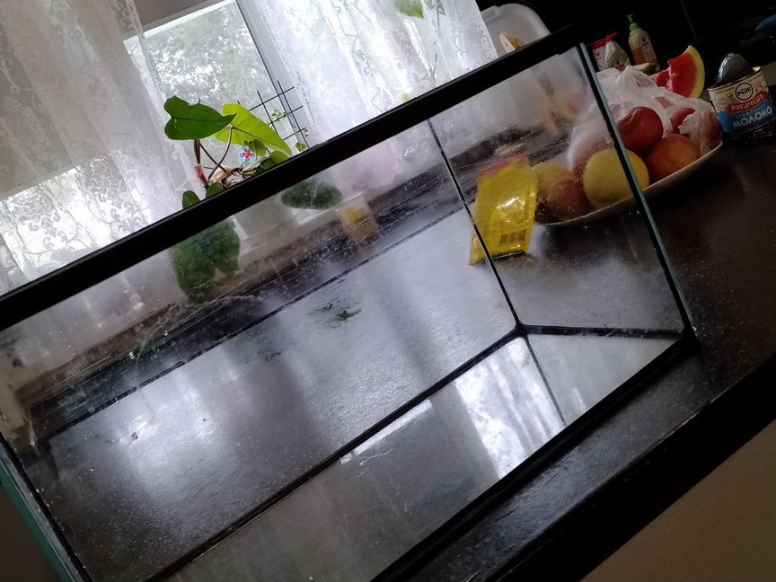 Аквариум для черепахи