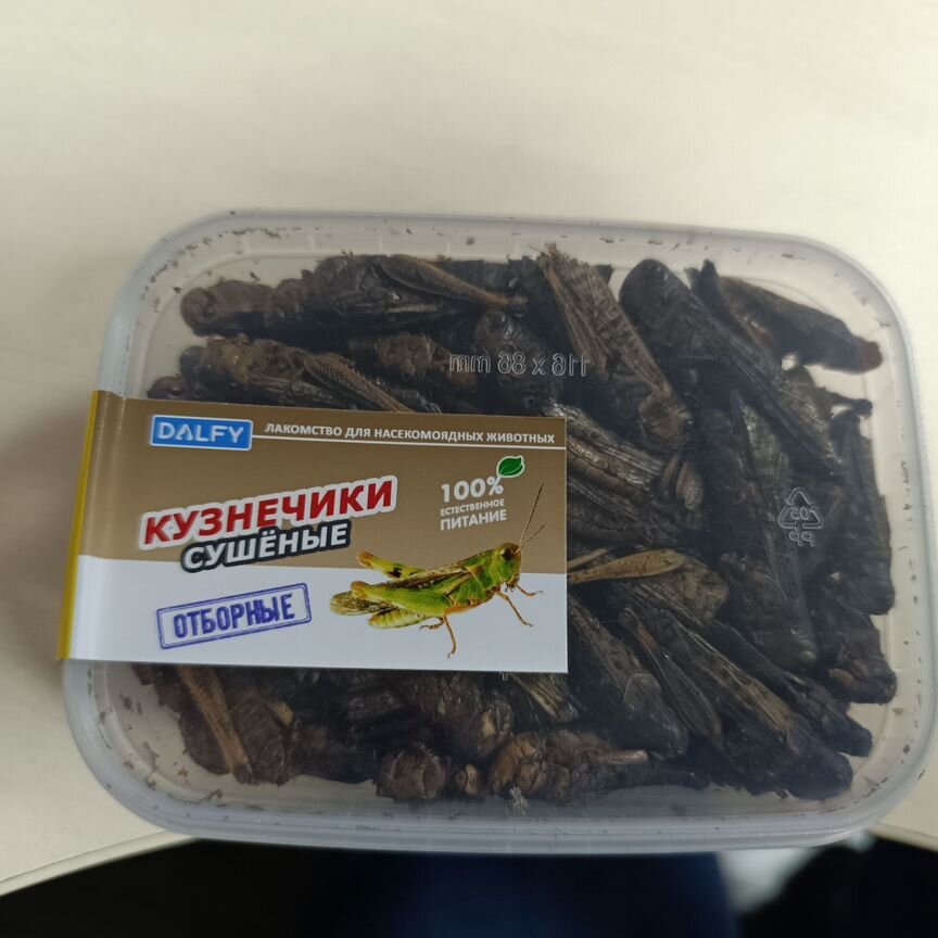 Кузнечики сушёные бесплатно