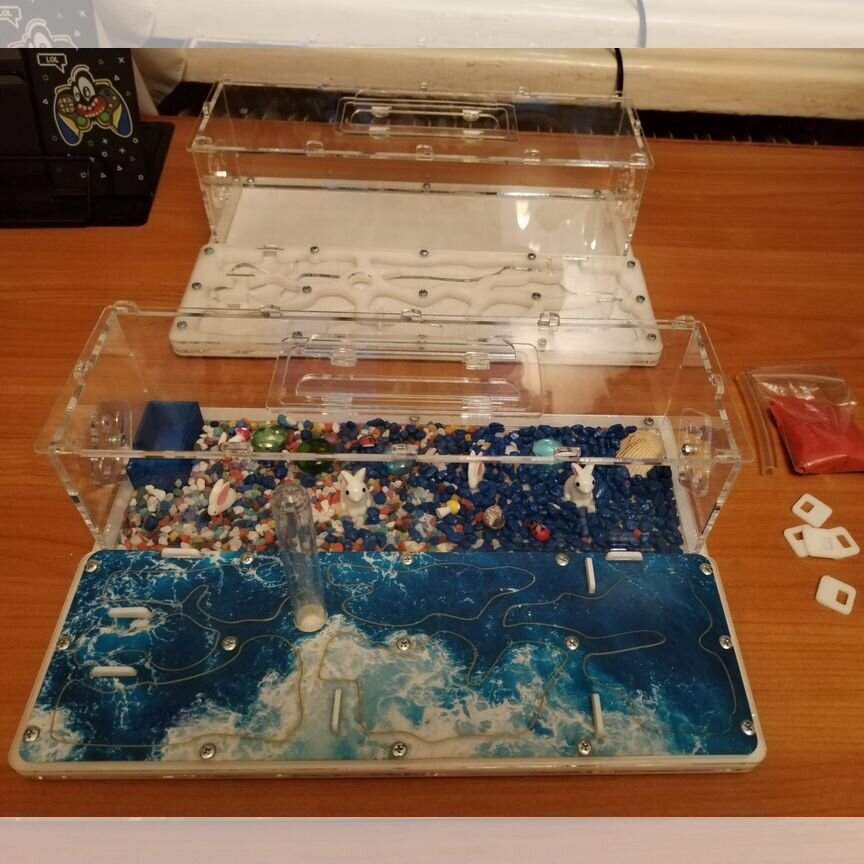 Муравьиная ферма, (муравьиный домик, формикарий)