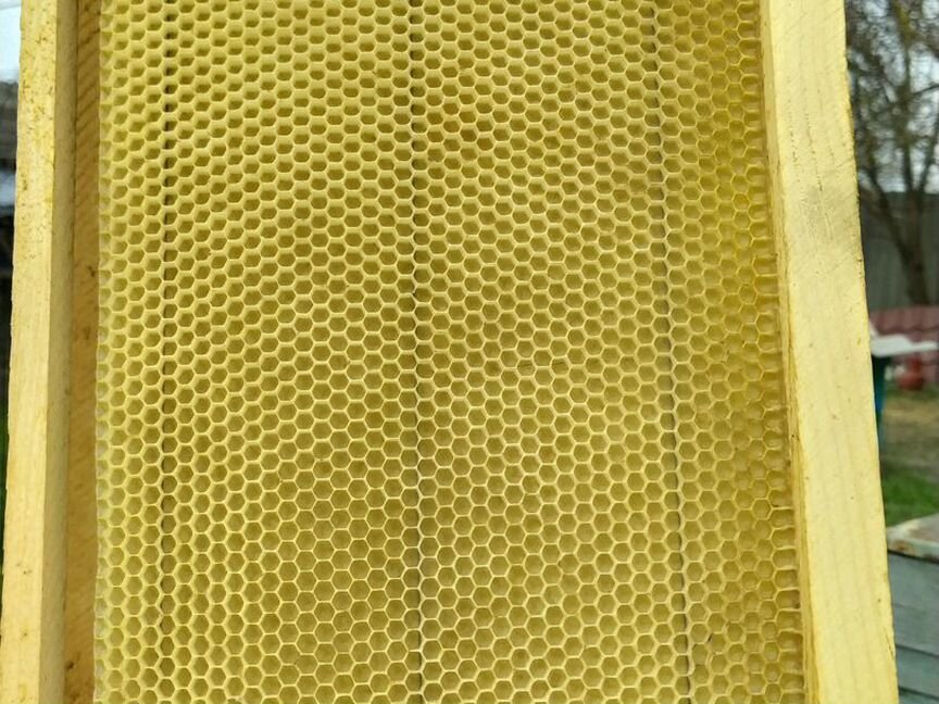 Сушь для пчёл