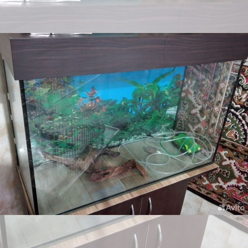 Аквариумы