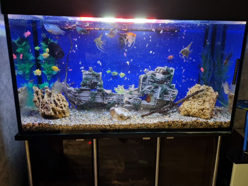 Аквариум с тумбой 300 литров
