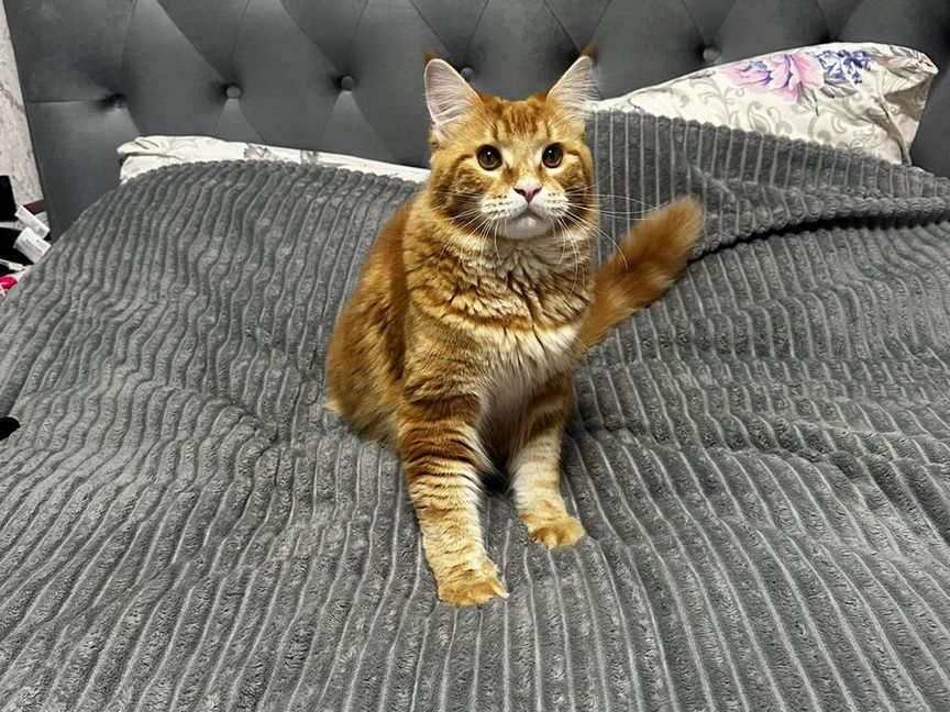 Мейкун вязка