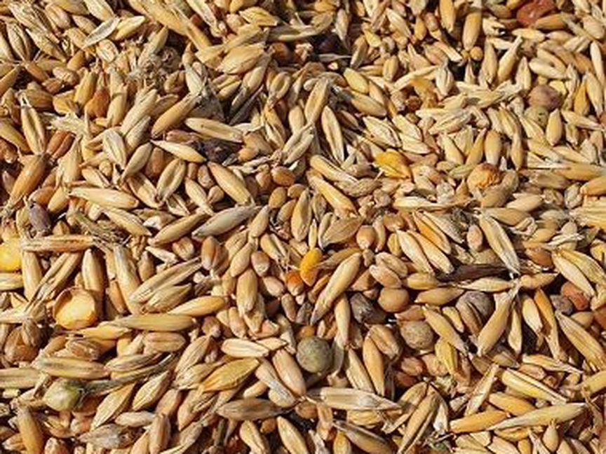 Зерносмесь