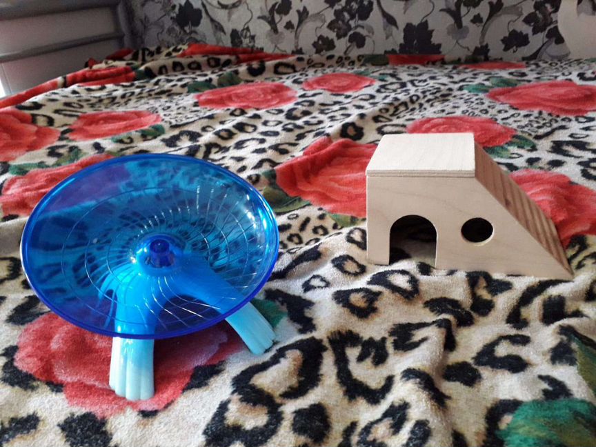 Игрушка колесо для хомяков