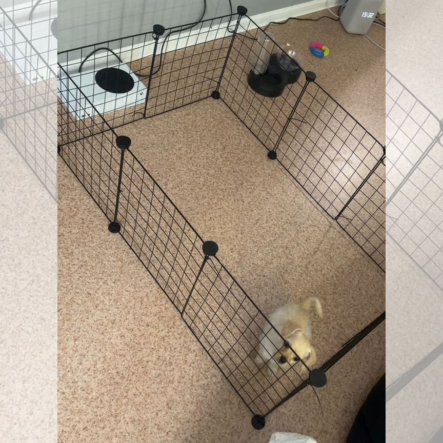 Вольер для собак