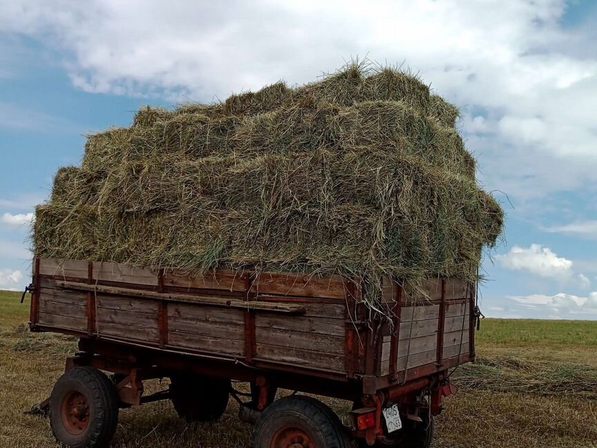 Луговое сено в тюках
