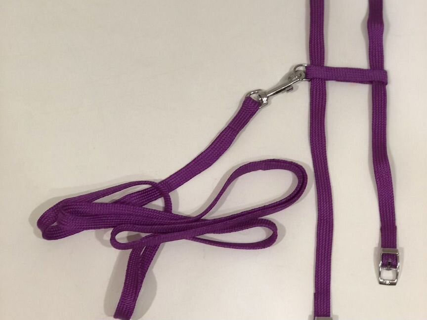 Щлейка для кота