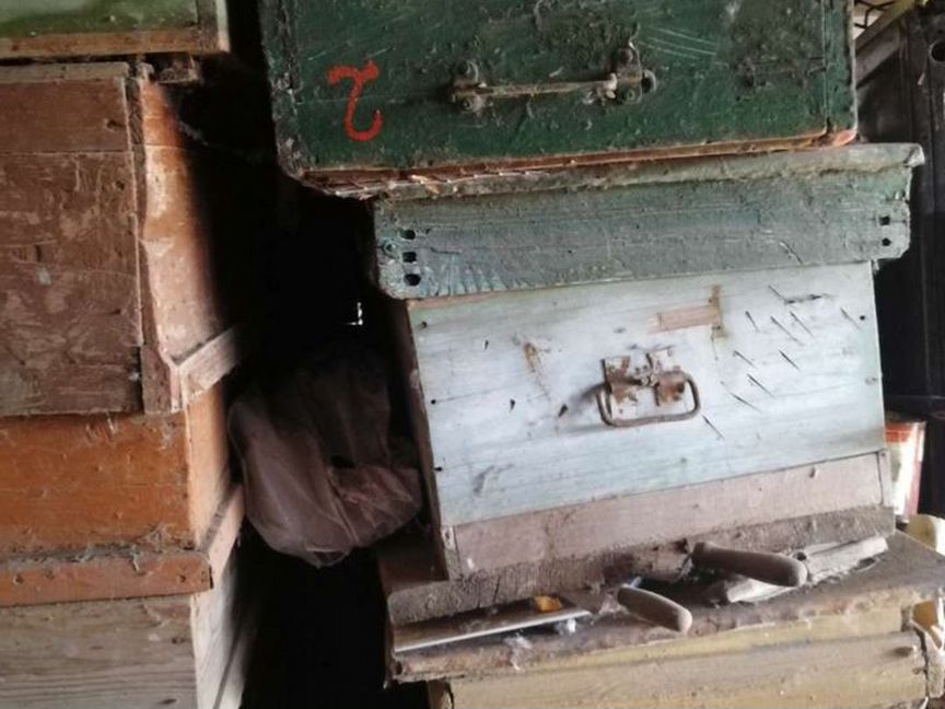 Ульи для пчел бу
