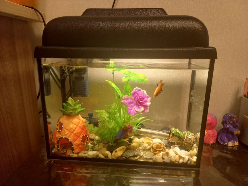 Аквариум с рыбками бу