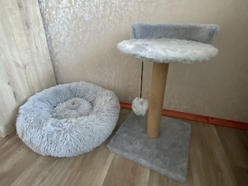 Когтеточка для кошек