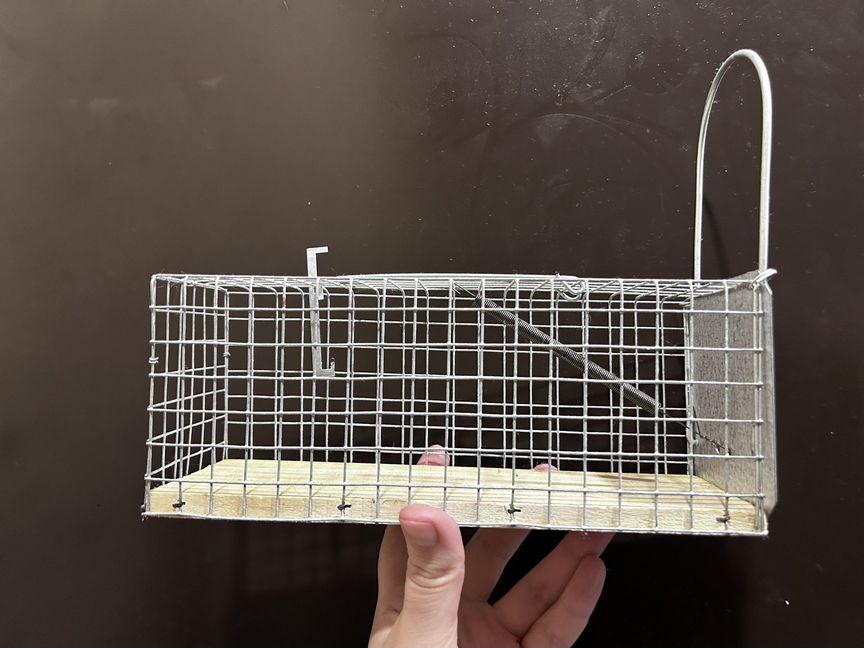 Ловушка для крыс