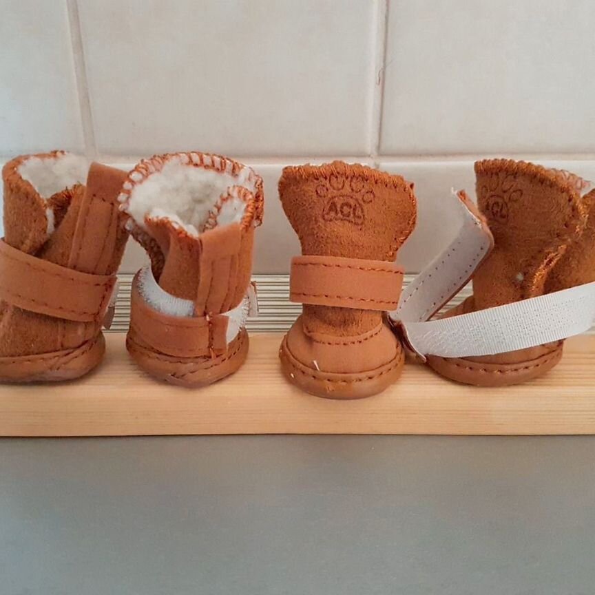 Зимние ботинки для маленьких собак