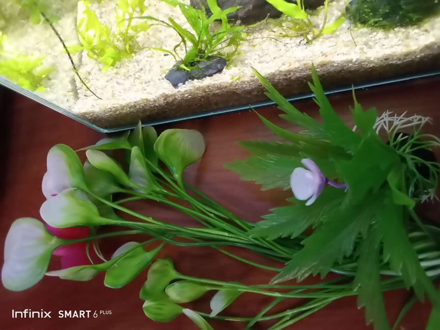 Искусственные растения для аквариума