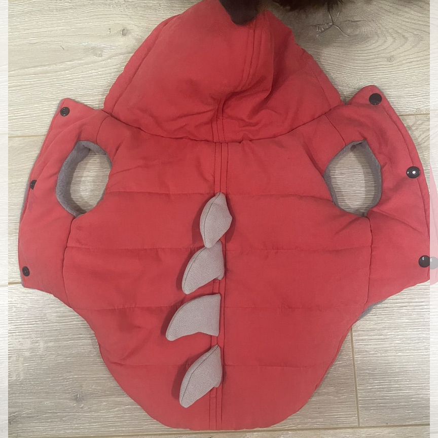 Одежда для собак