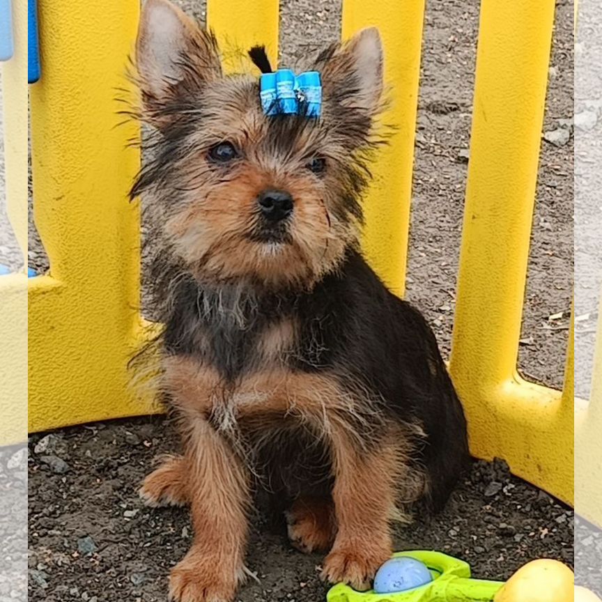 Мальчик лапочка