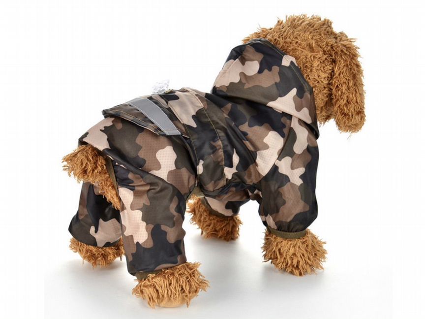Одежда для собак