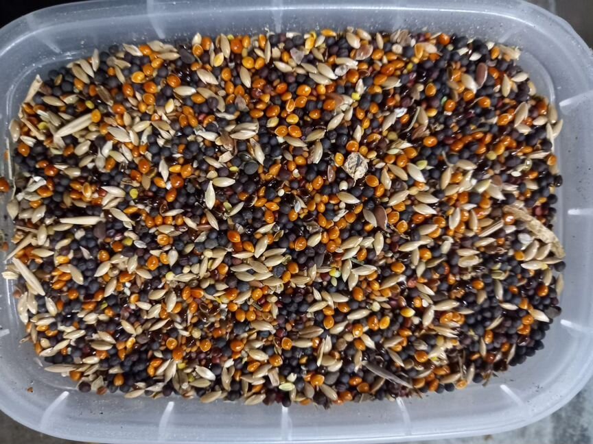 Корм для декоративных птиц 1кг